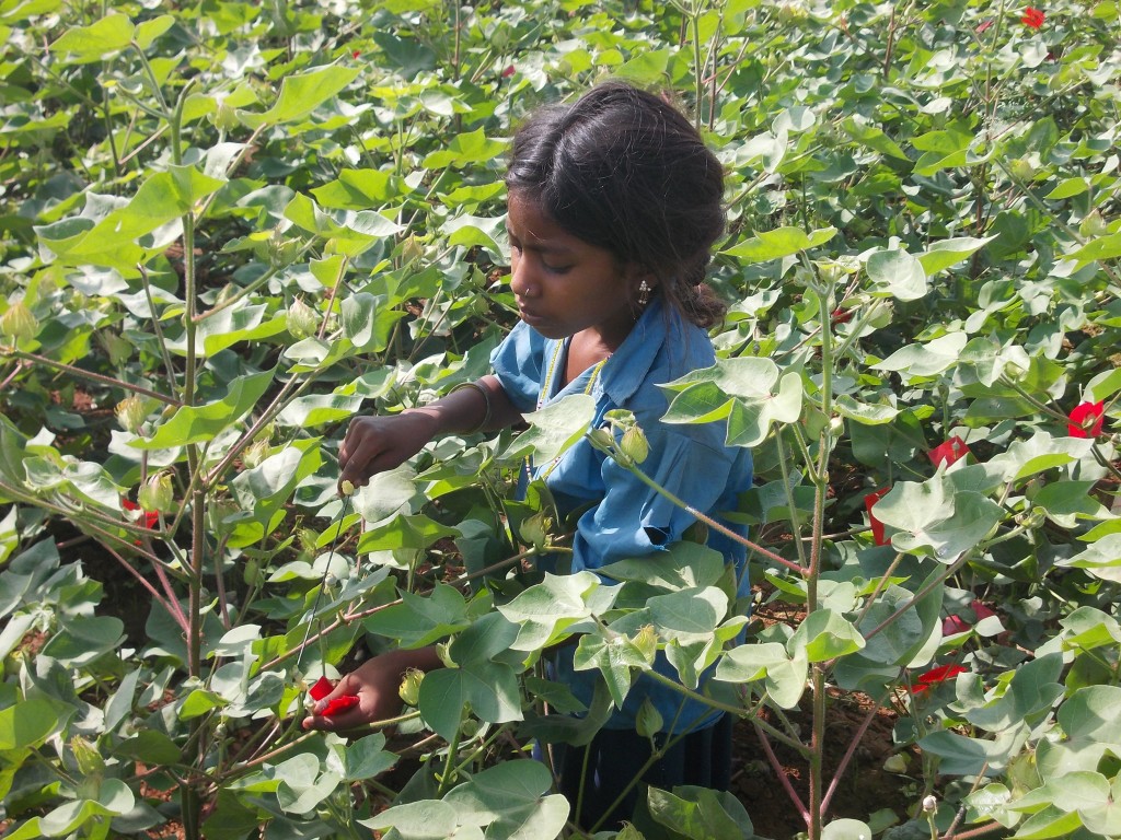Video report on child labour in agriculture by Voice of America - Stop ...